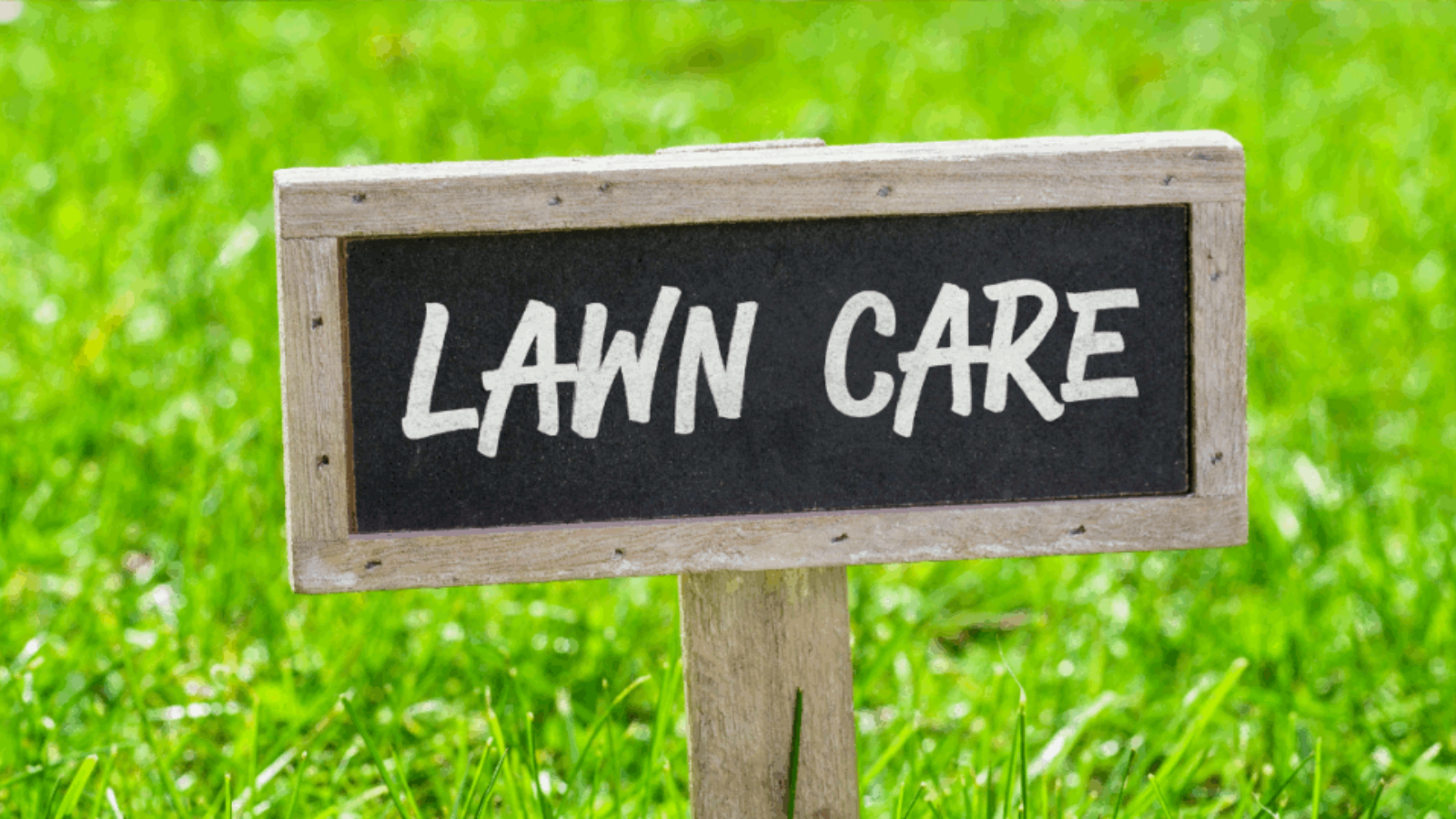 Lawn care treatment store